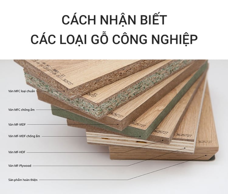 Gỗ An Cường Có Tốt Không? Các Loại Gỗ An Cường Phổ Biến Nhất